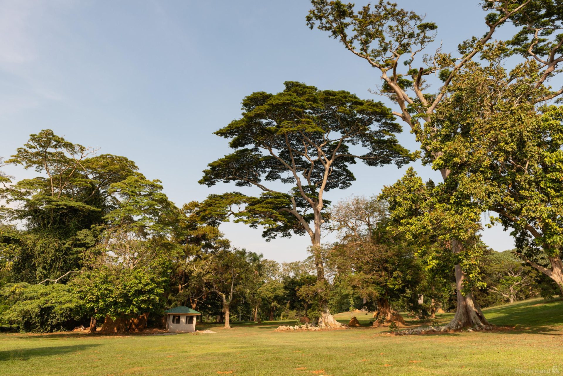 Popular Gardens in Uganda: Unveiling The 14 Most Visited!